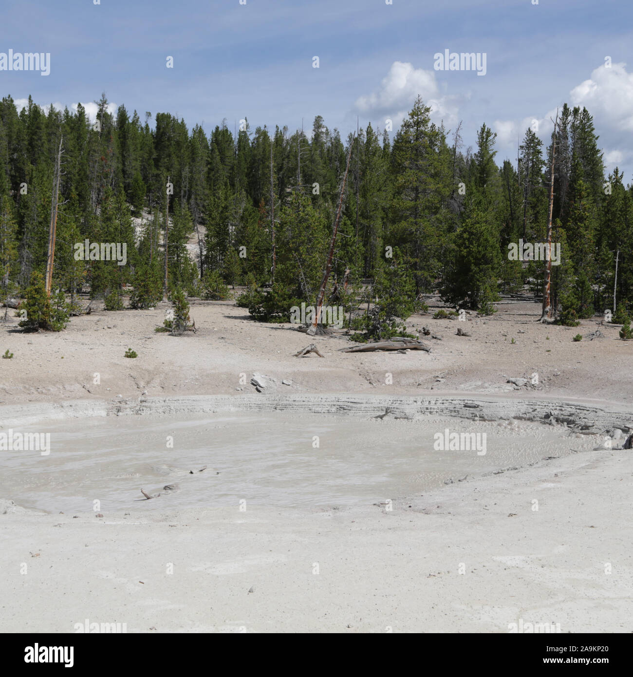in USA inside the yellowstone national park the brauty of amazing ...