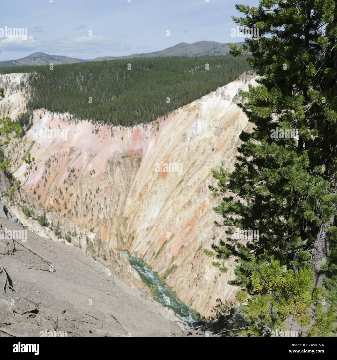 in USA inside the yellowstone national park the brauty of amazing ...