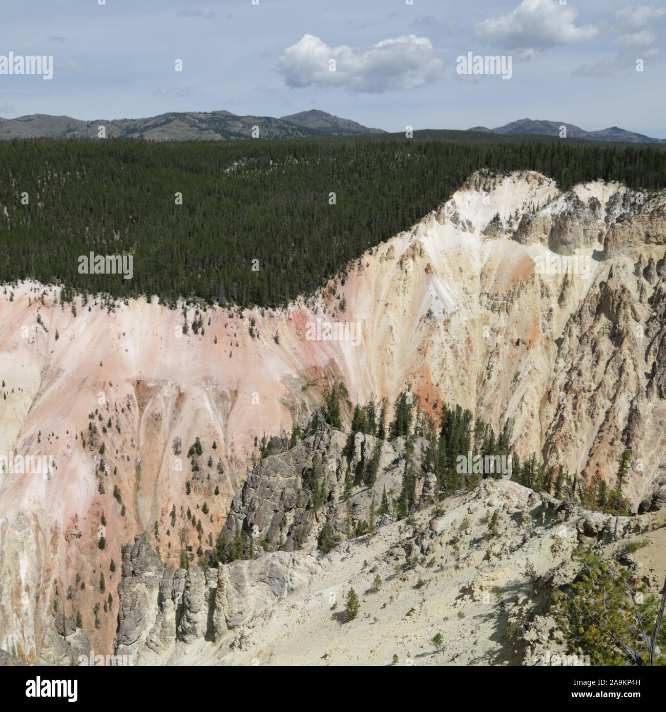 in USA inside the yellowstone national park the brauty of amazing ...