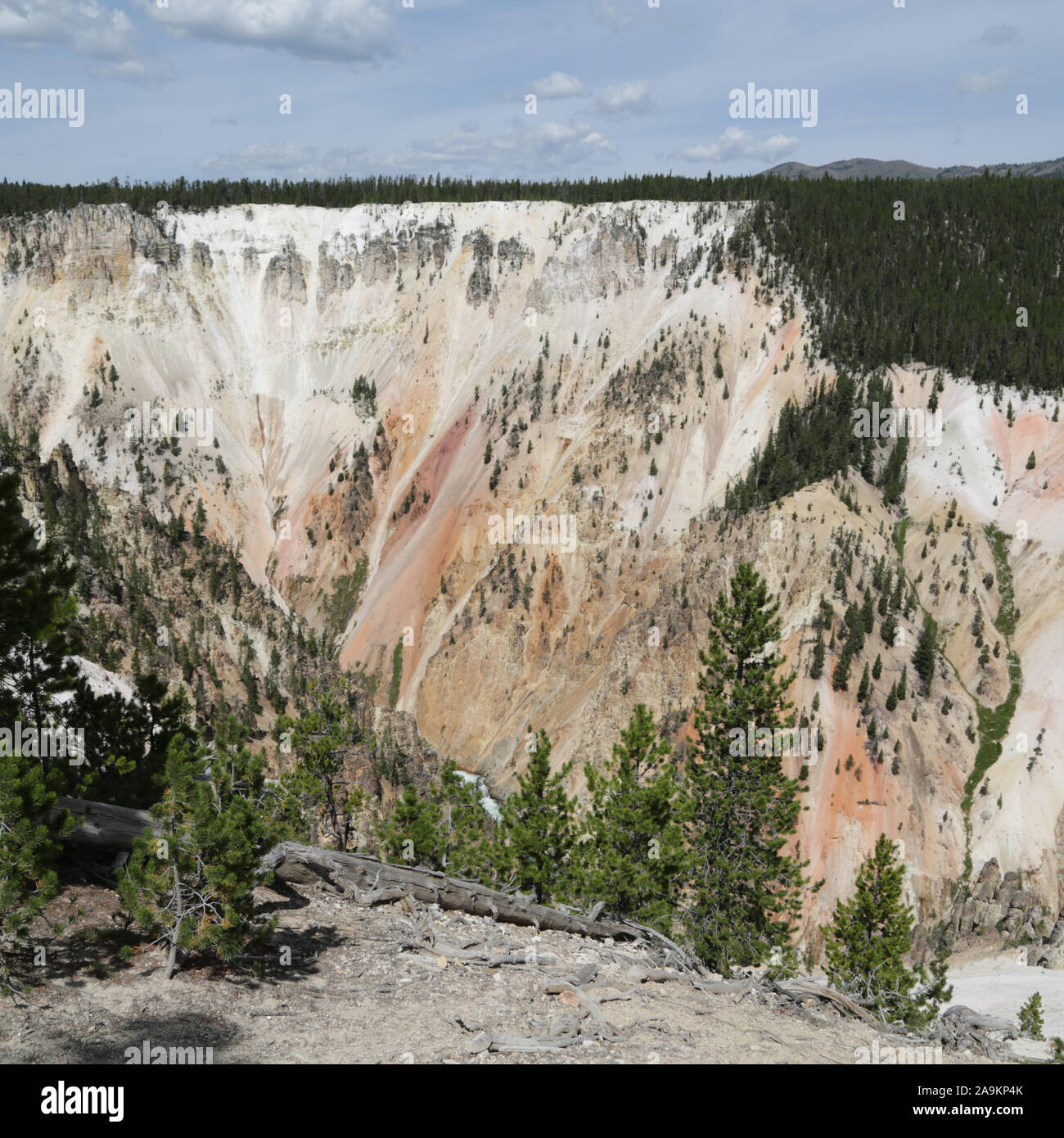 in USA inside the yellowstone national park the brauty of amazing ...