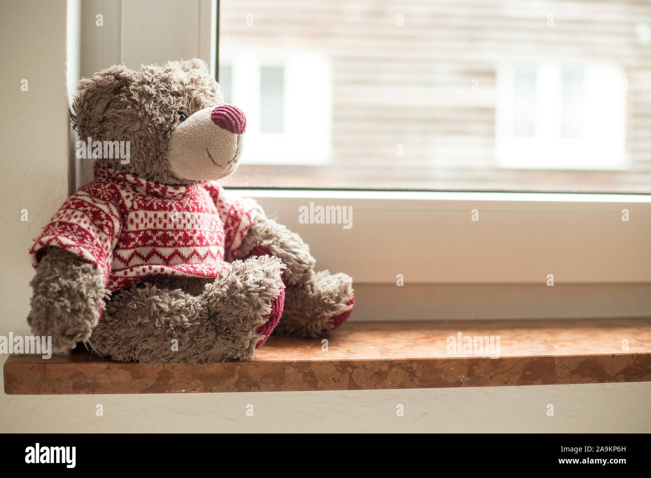 Cute teddy bear is sitting on the windowsill, looking out of the window ...