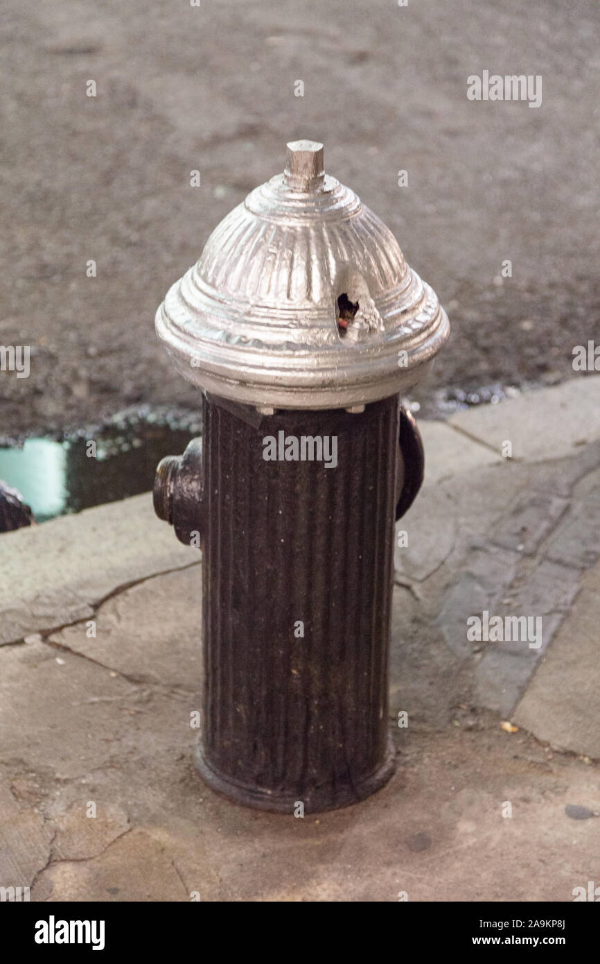 Street fire hydrant, New York City, United States of America Stock ...