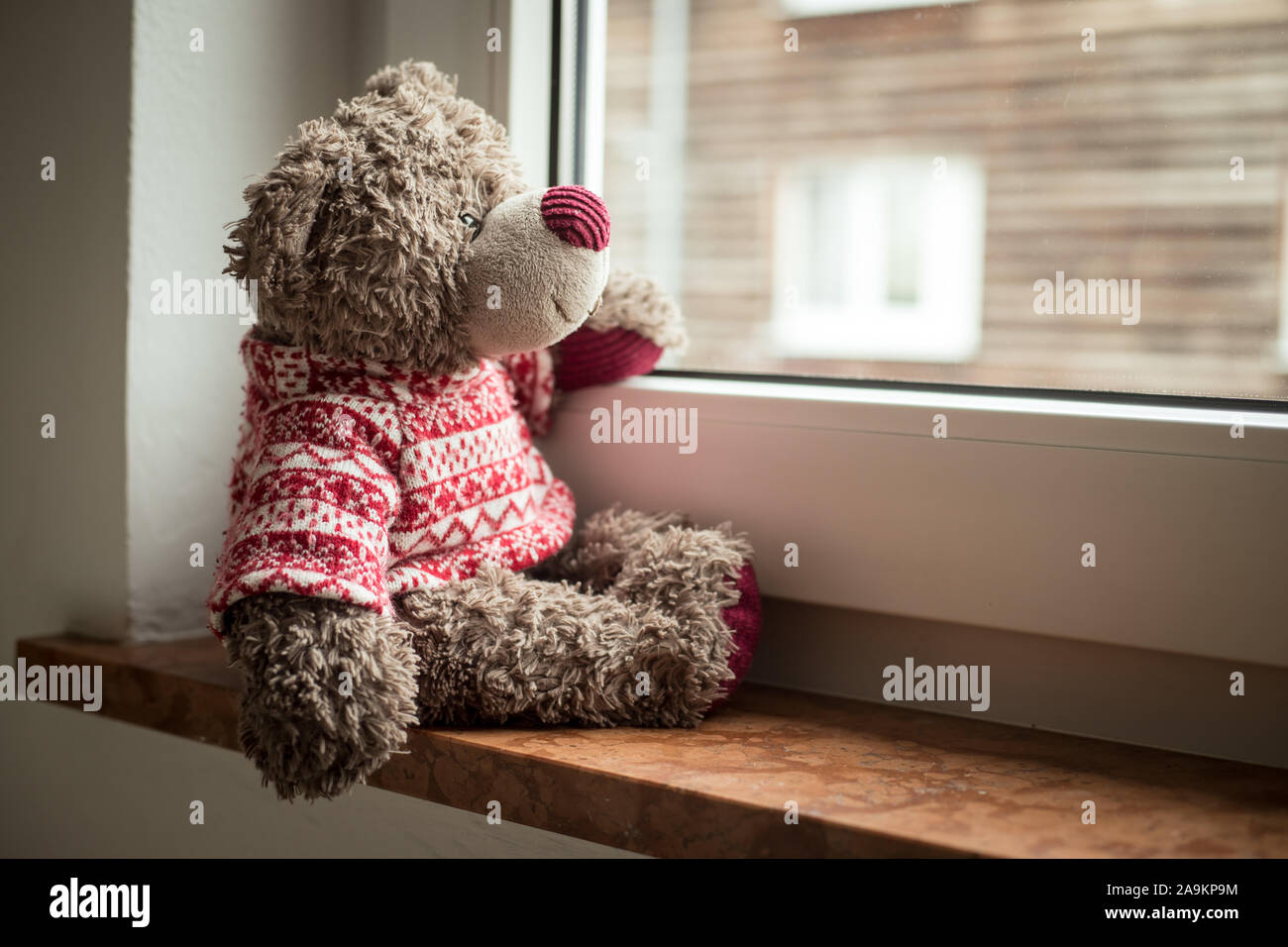 Cute teddy bear is sitting on the windowsill, looking out of the window ...
