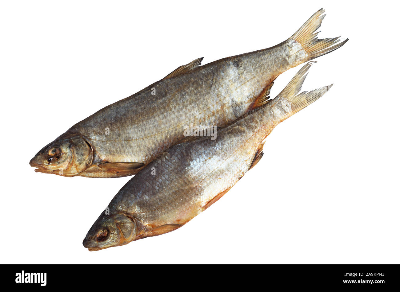 Two dried salted fishes isolated on white background, top view Stock ...