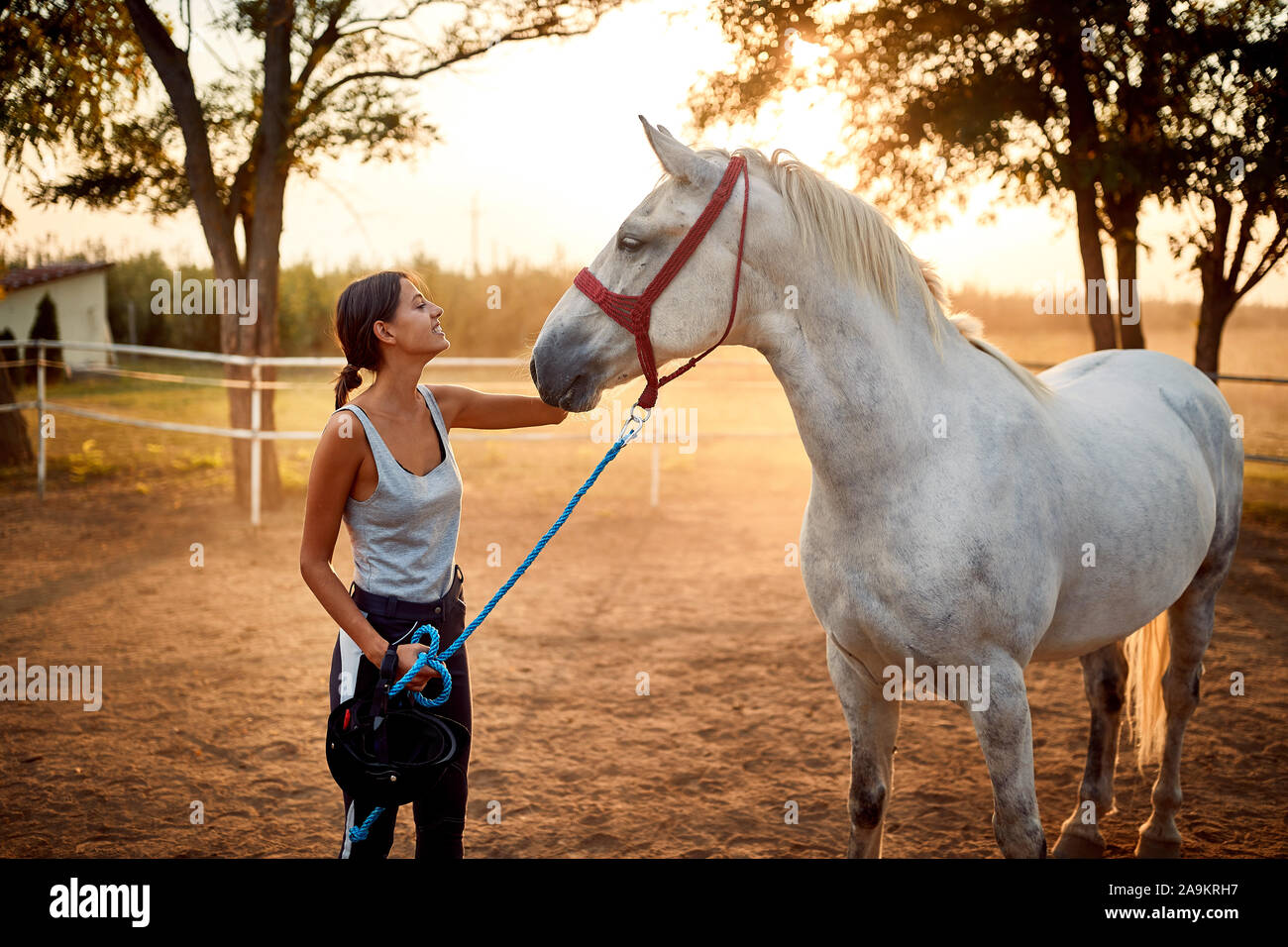 Pretty girl and her horse in the equestrian centre Stock Photo - Alamy