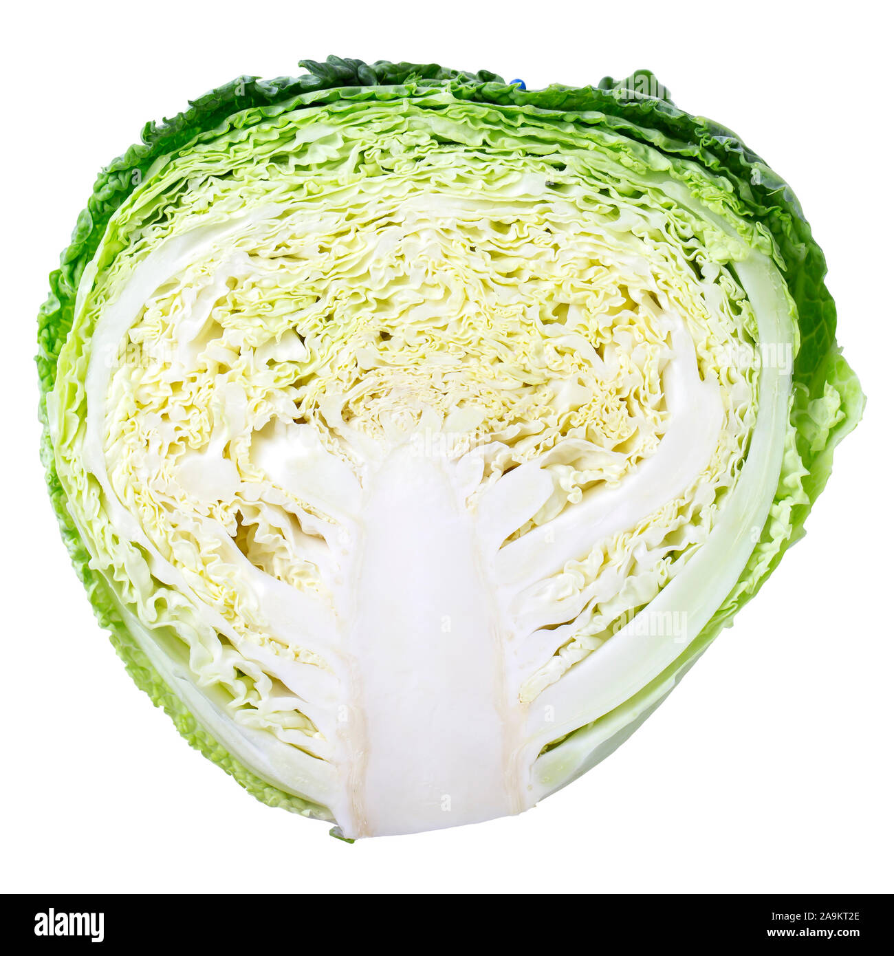 halved savoy cabbage. isolated on a white background. file contains ...