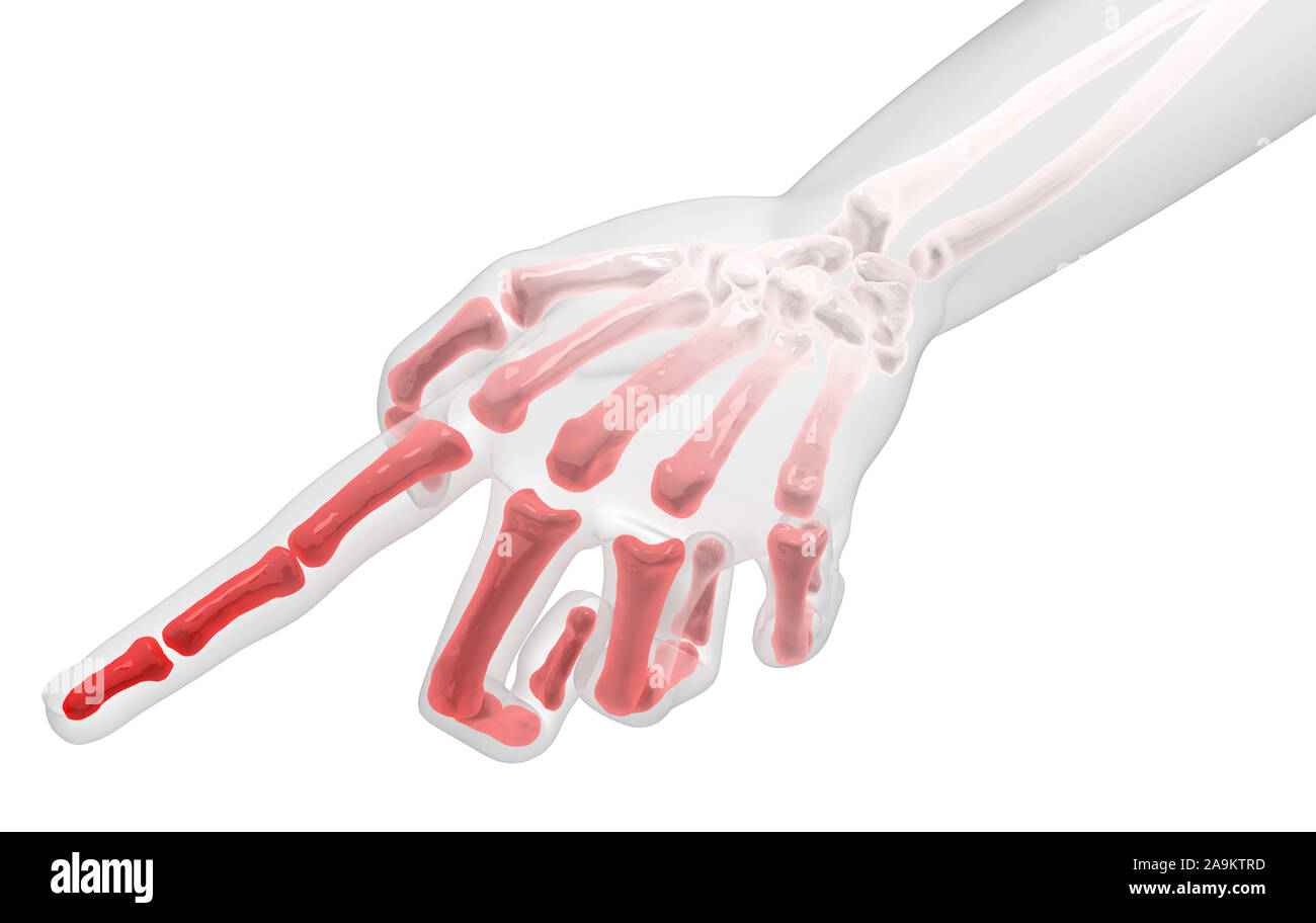 Skeleton hand pointing hi-res stock photography and images - Alamy