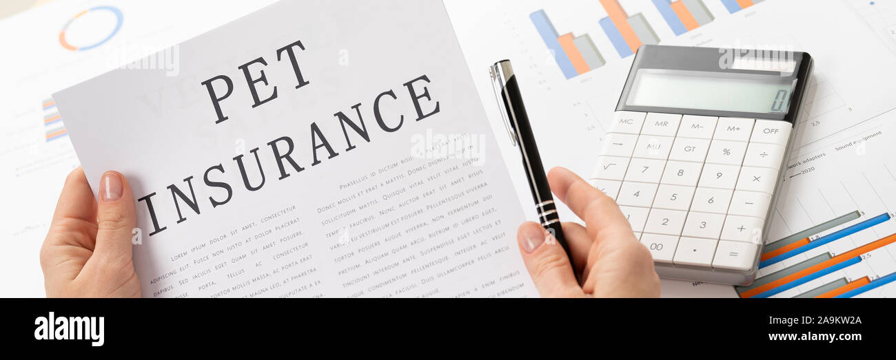 pet insurance concept, documents on the desktop Stock Photo - Alamy