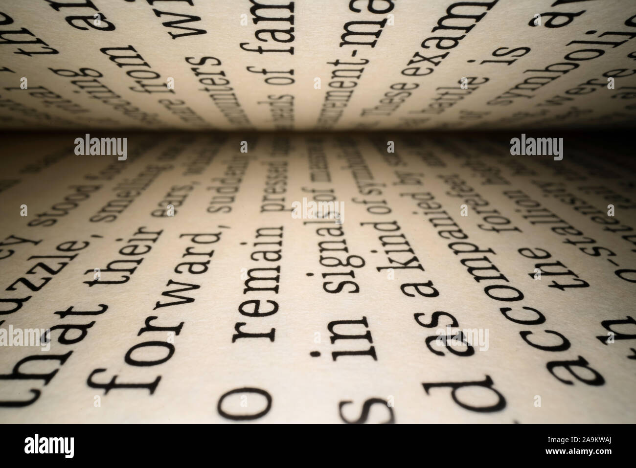 Inside the book concept. Latin letters and words on an open book with ...