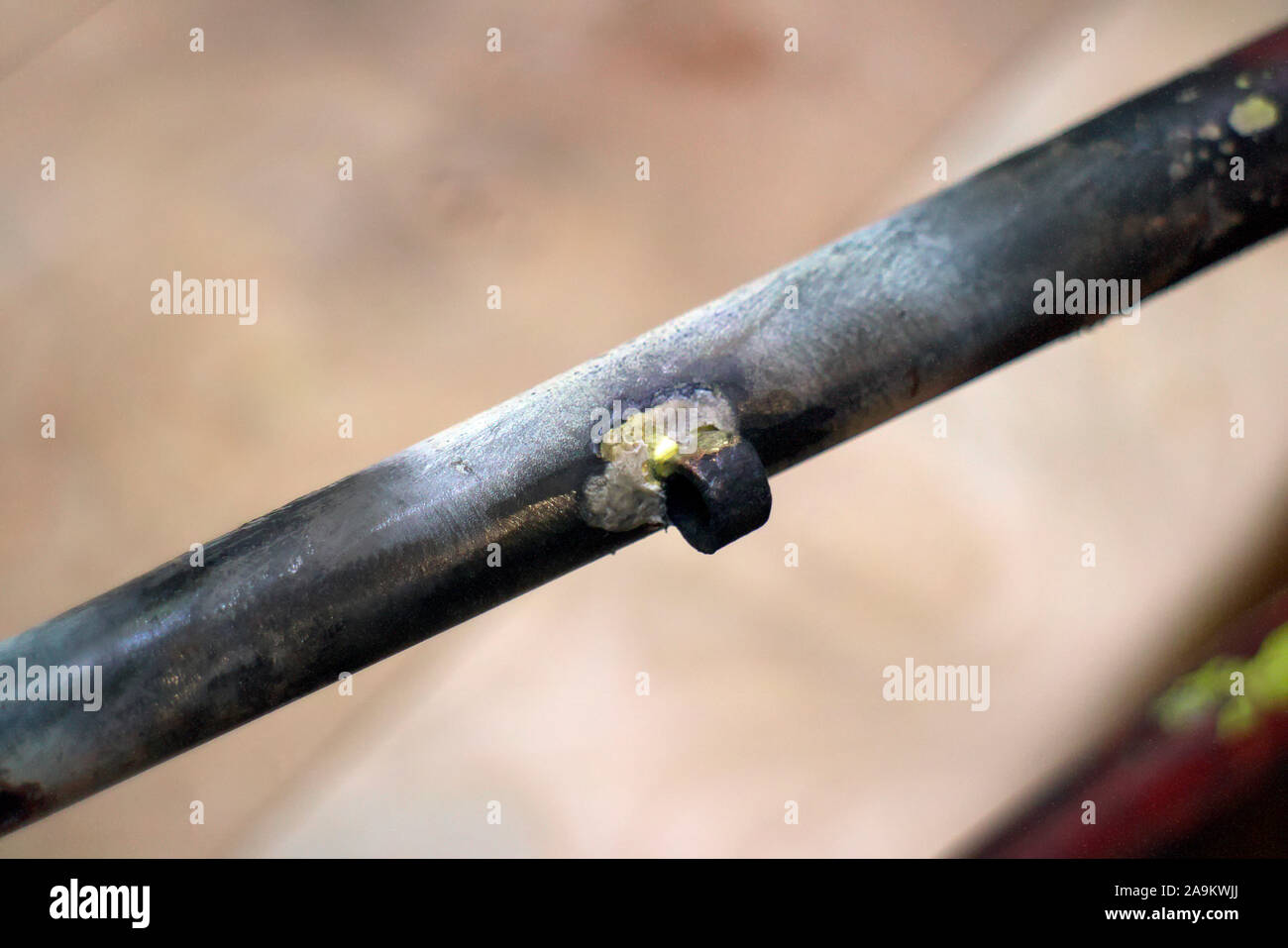 A washer hi-res stock photography and images - Alamy