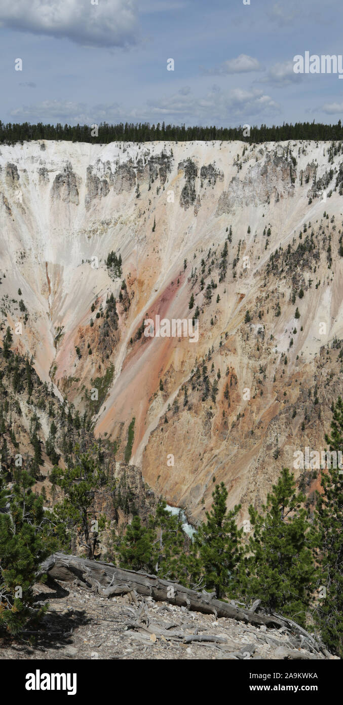 in USA inside the yellowstone national park the brauty of amazing ...