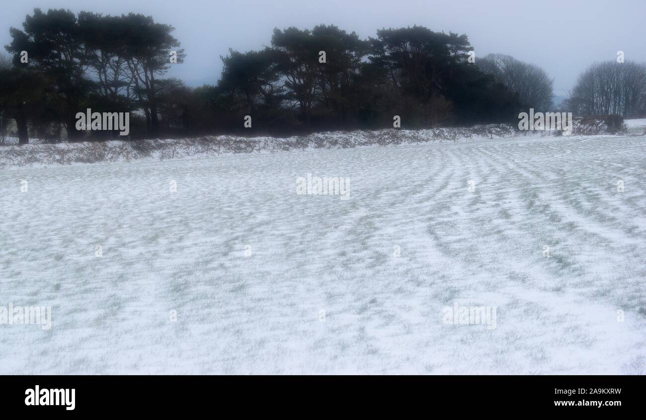 Cornwall lane snow hi-res stock photography and images - Alamy