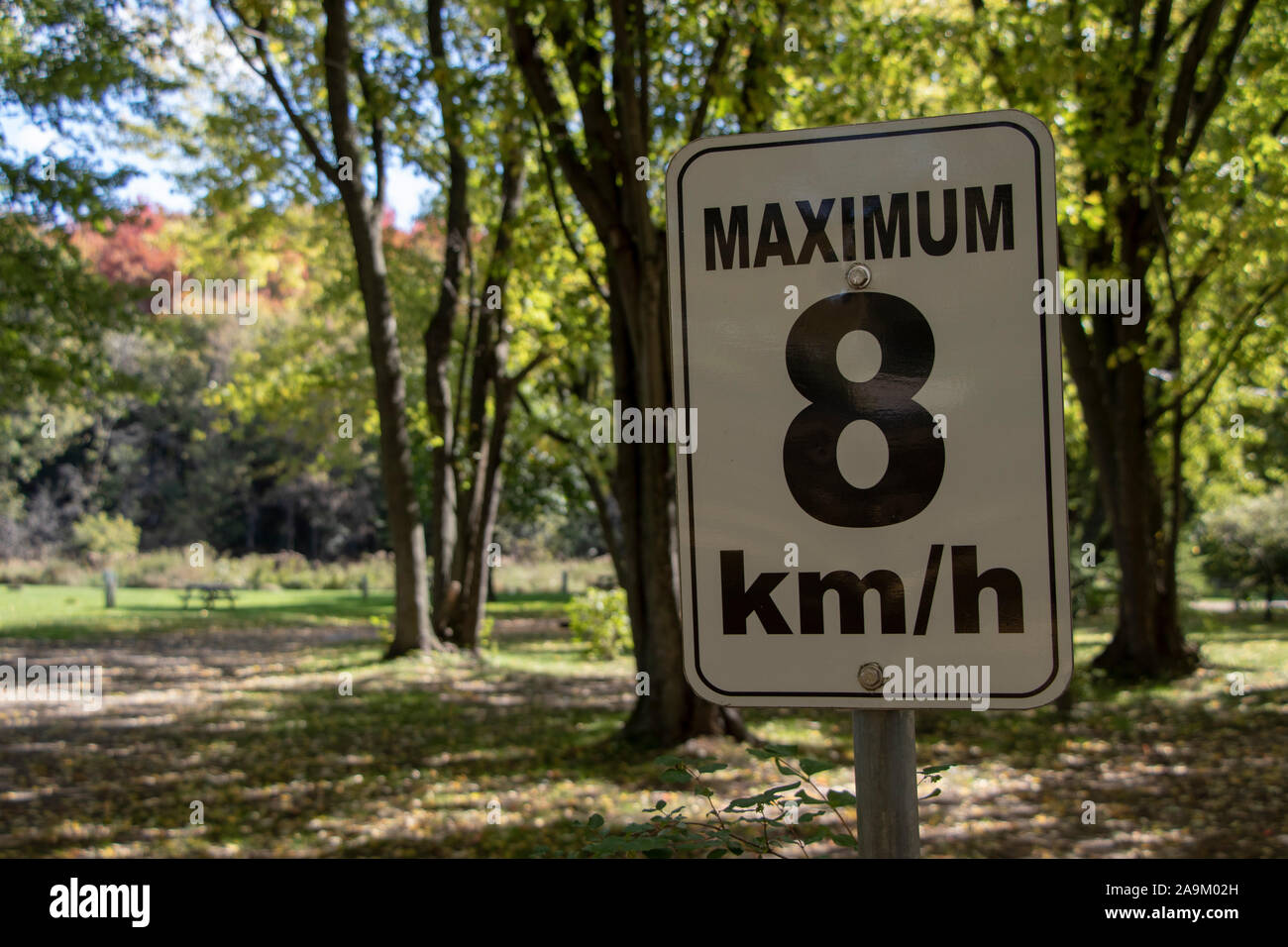 Maximum 8 km/h speed limit road sign on a campground at Autumn Stock ...