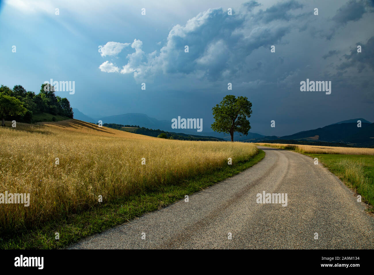 View of lone road with storm on horizon of The mountains of the Cuchon ...