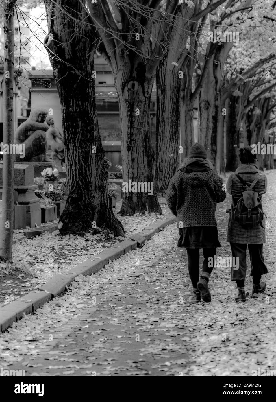 Voyage to paris Black and White Stock Photos & Images - Alamy