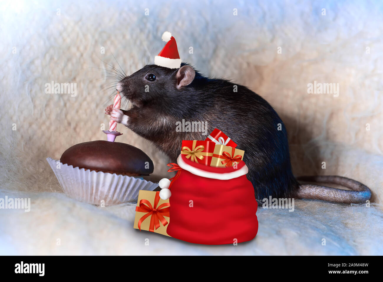 a black rat in a Santa hat and a bag of gifts eats a cake with a candle ...