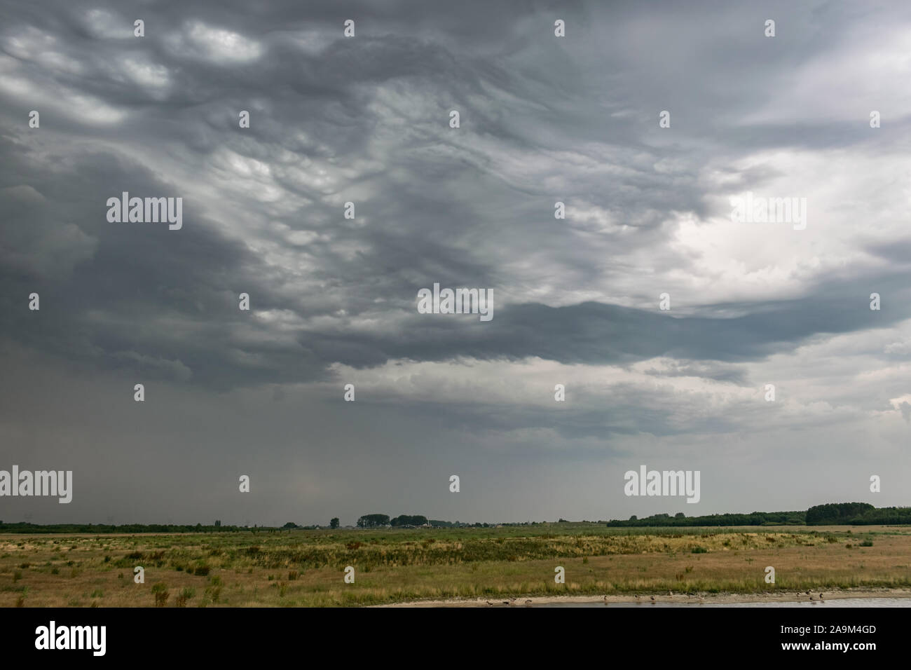 Thunderstorm with dramatic appearance over the flat, wide open ...