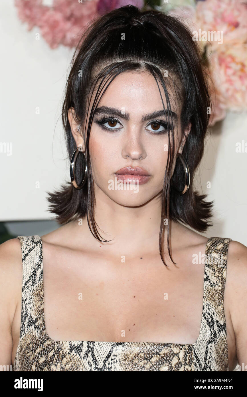 Hollywood, United States. 15th Nov, 2019. HOLLYWOOD, LOS ANGELES ...