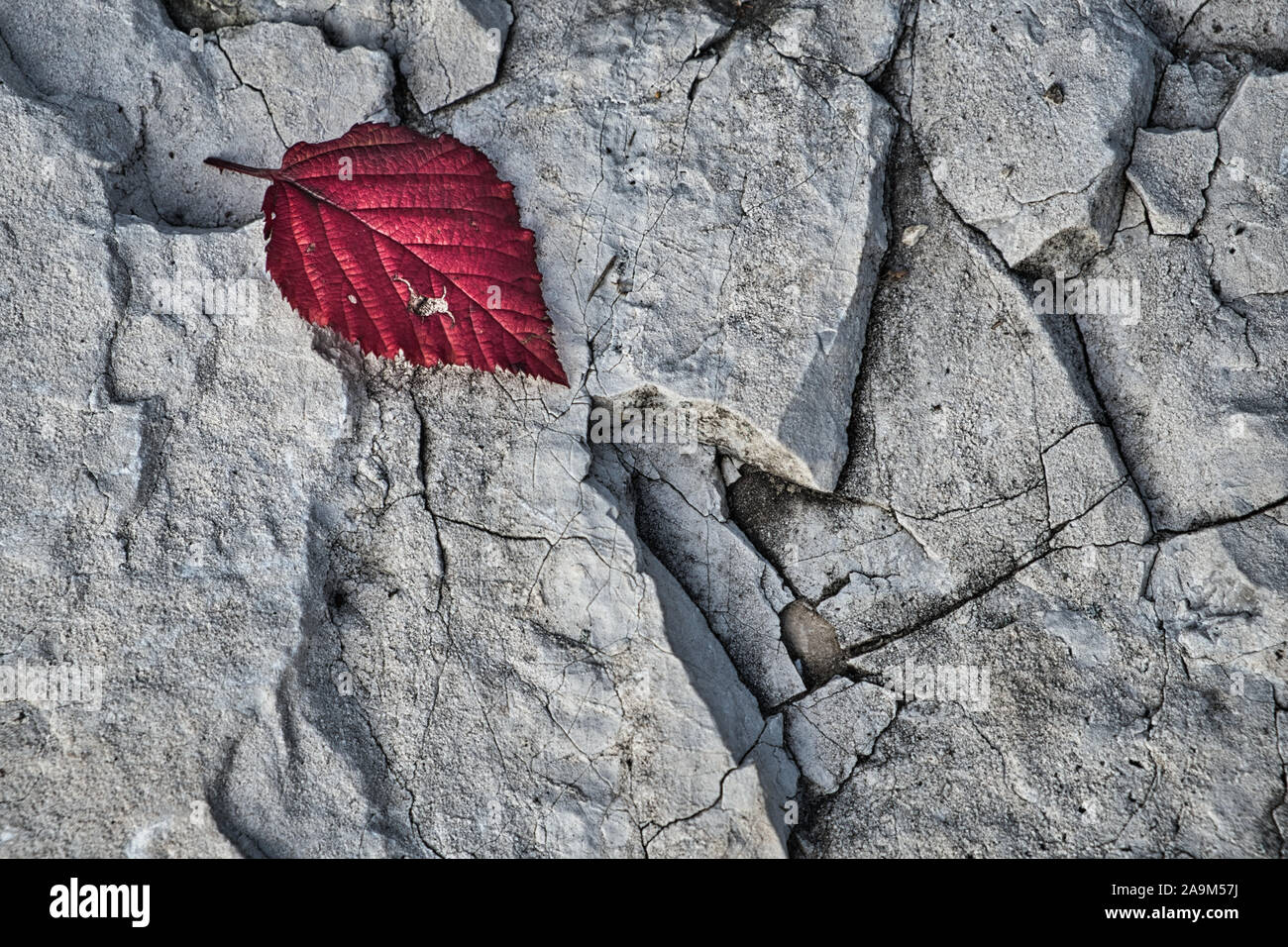 Rock composition hi-res stock photography and images - Alamy