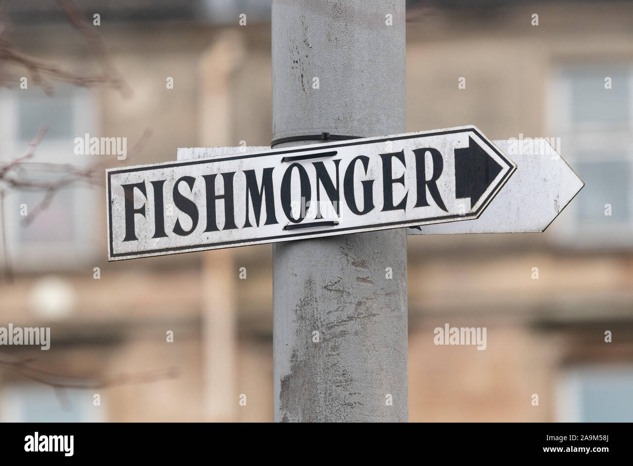 Fishmonger sign pointing to Wilson's Catch of the day, Finnieston ...