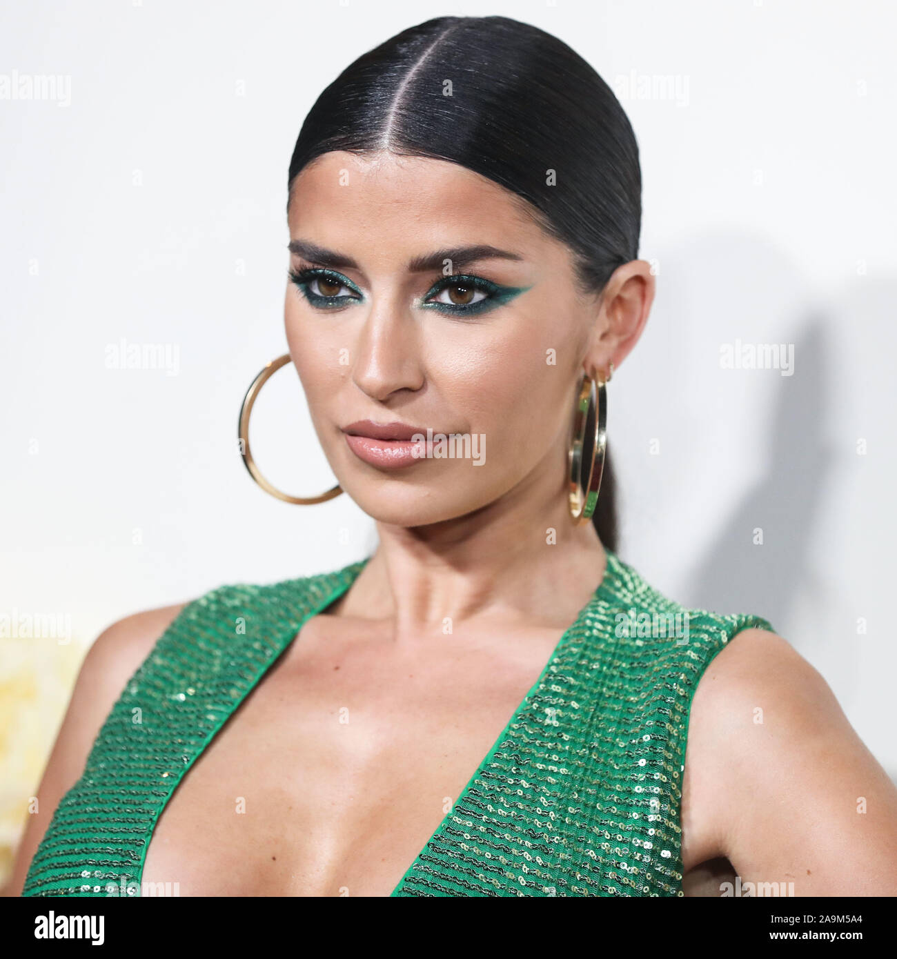 HOLLYWOOD, LOS ANGELES, CALIFORNIA, USA - NOVEMBER 15: Nicole Williams ...