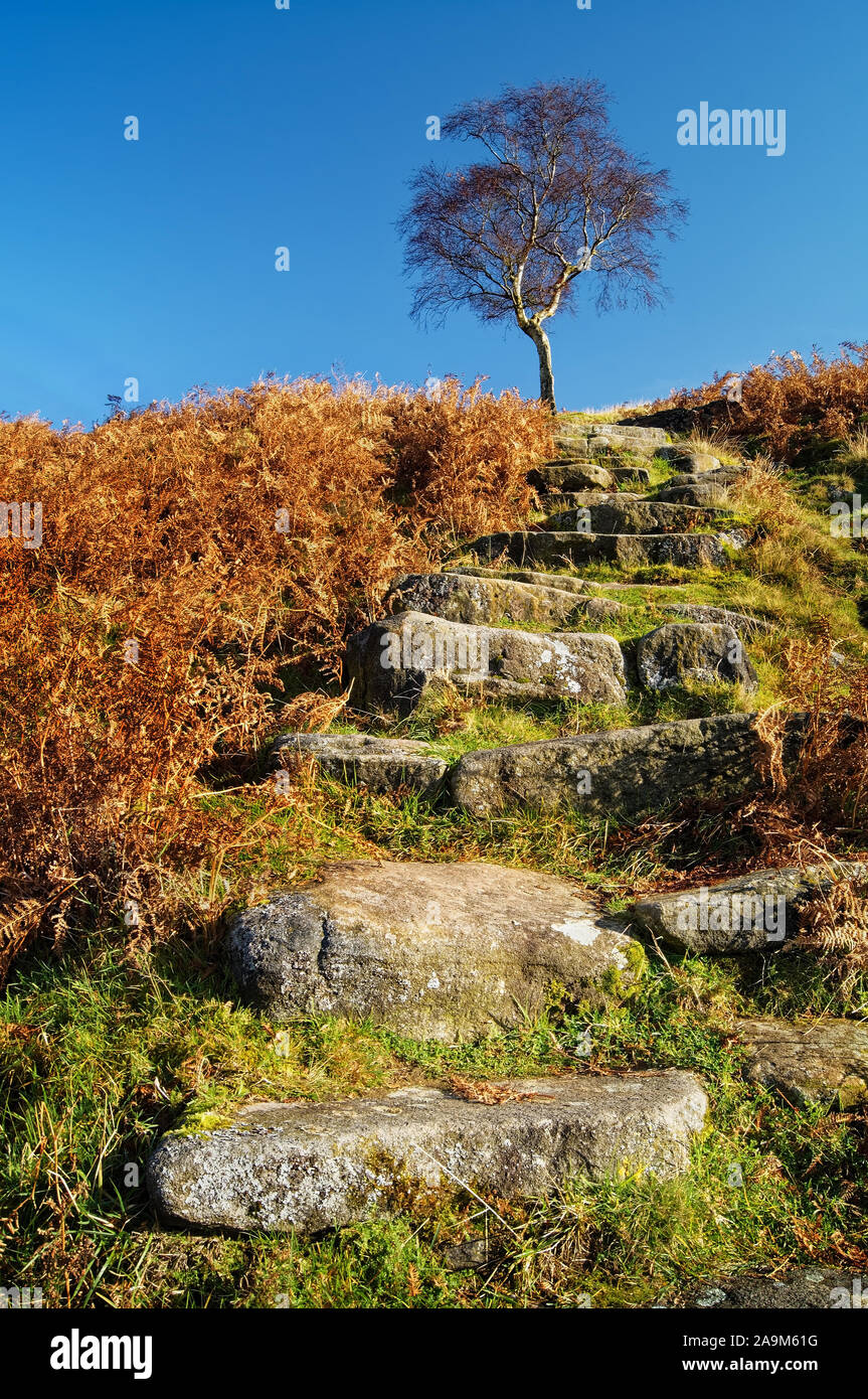 Longshaw estate sheffield hi-res stock photography and images - Alamy