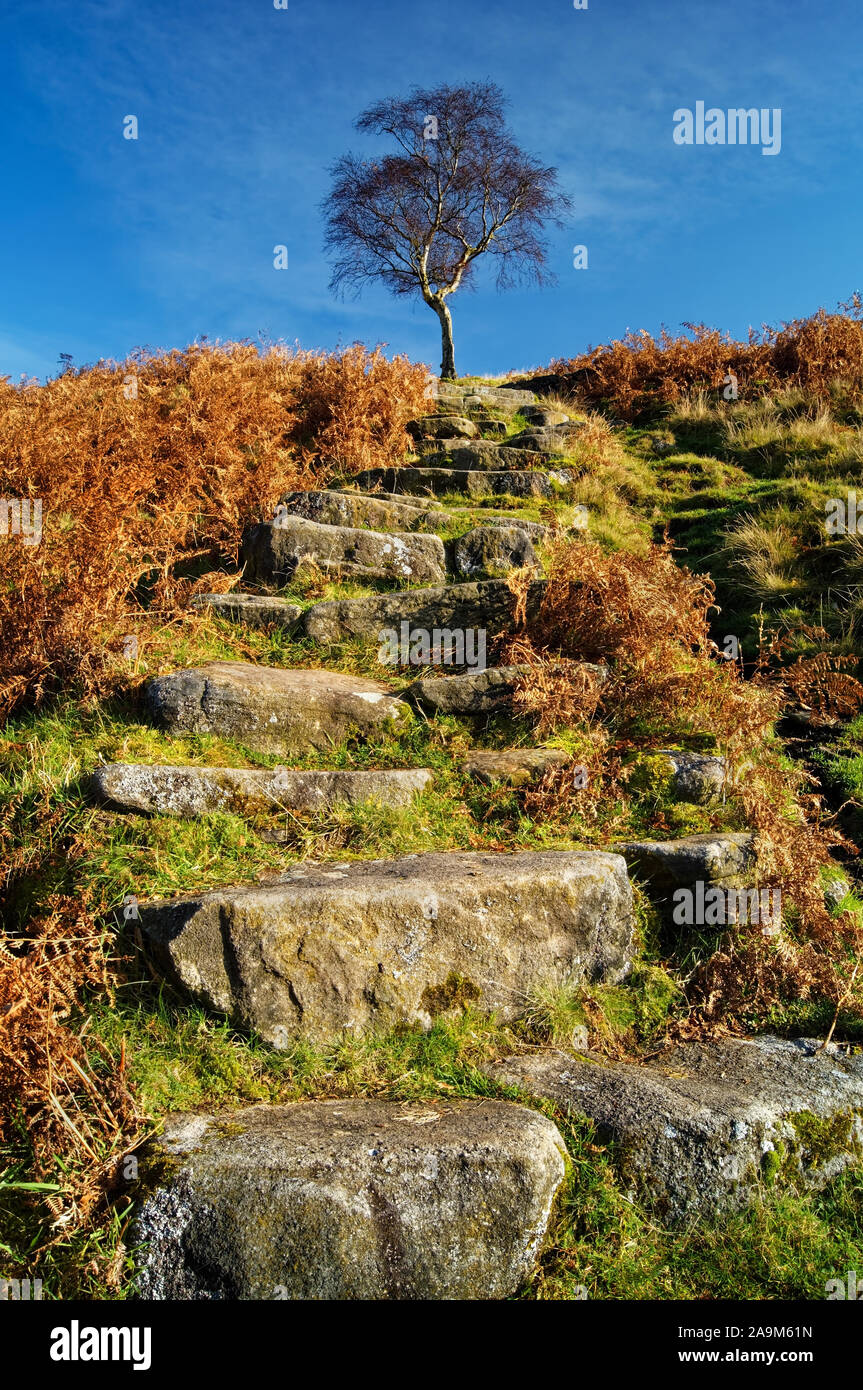 Longshaw estate autumn hi-res stock photography and images - Alamy