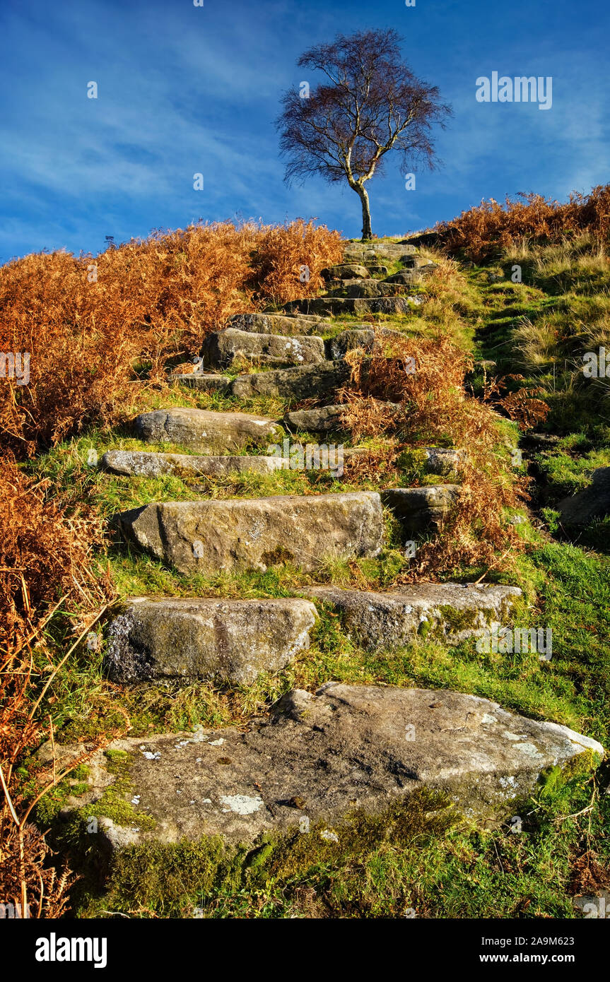 Longshaw estate autumn hi-res stock photography and images - Alamy