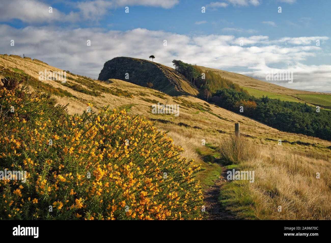 Scotts ridge hi-res stock photography and images - Alamy