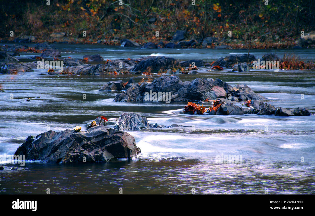 Rivanna hi-res stock photography and images - Alamy