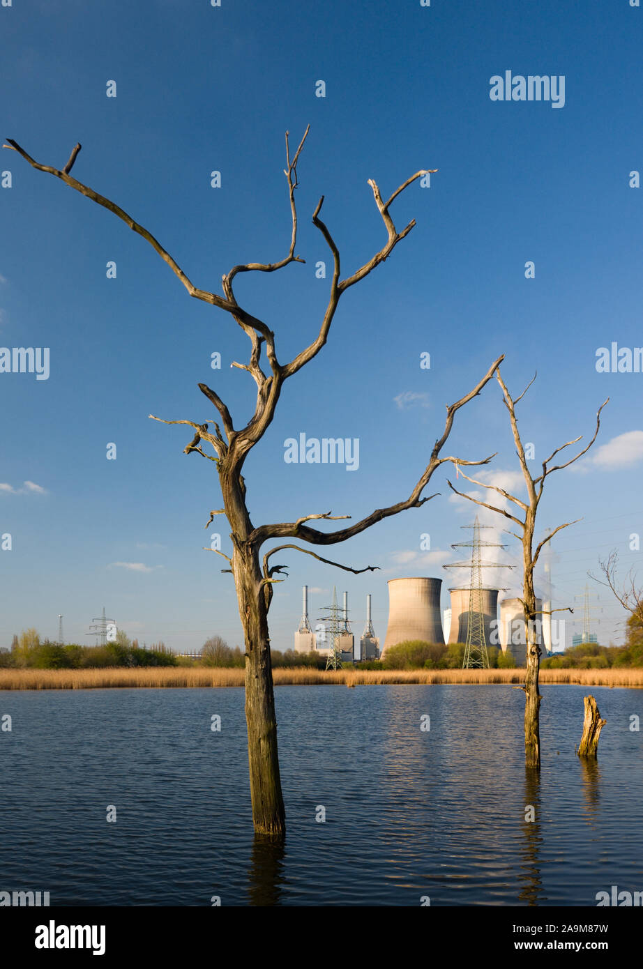 Power lines behind tower hi-res stock photography and images - Alamy