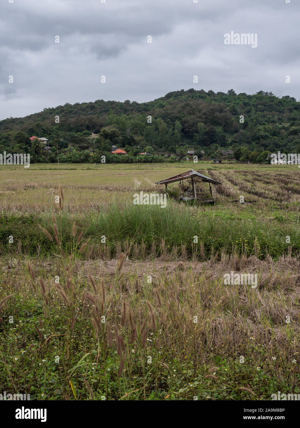 Broken hut hi-res stock photography and images - Alamy