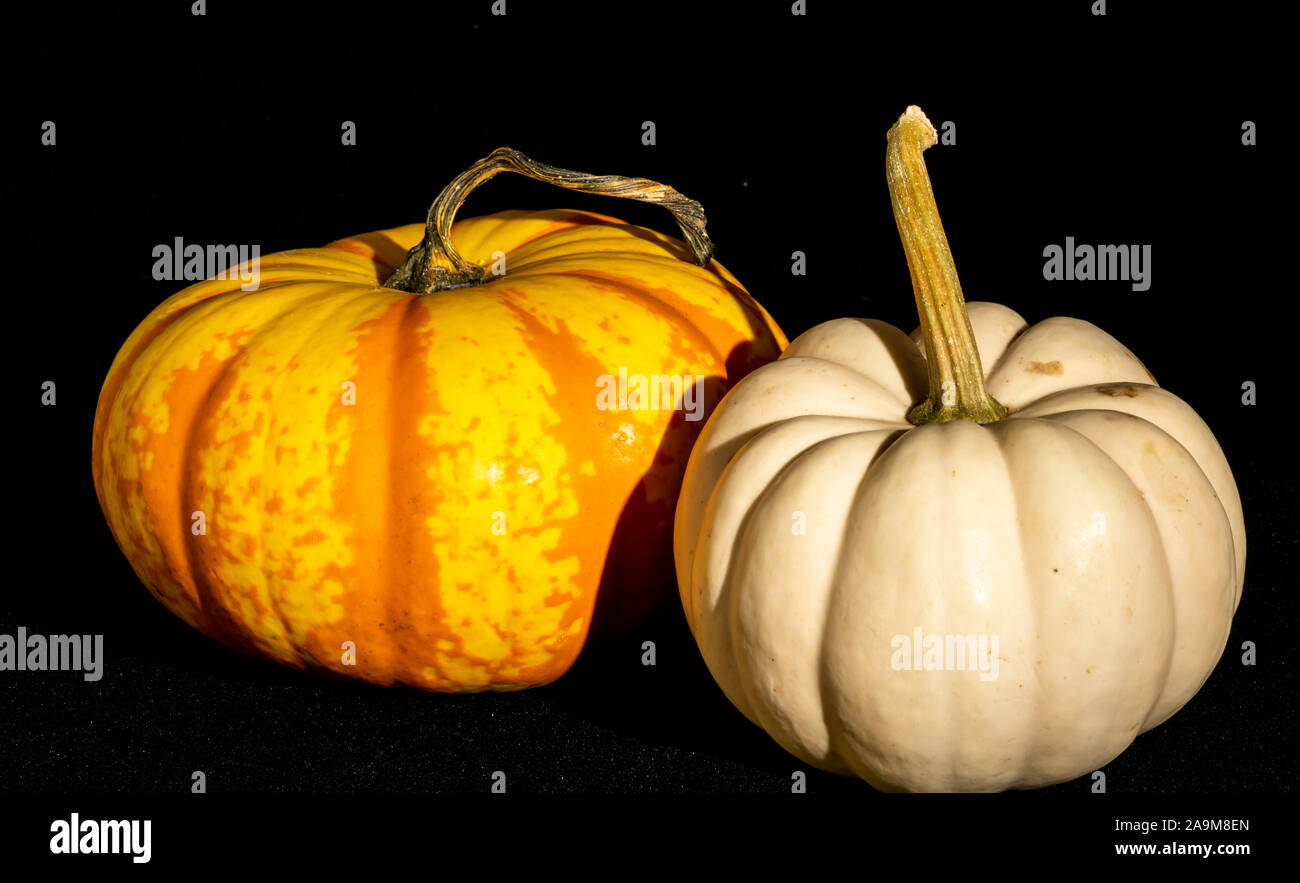 Pumpkins in all colors, shapes, and sizes Stock Photo - Alamy