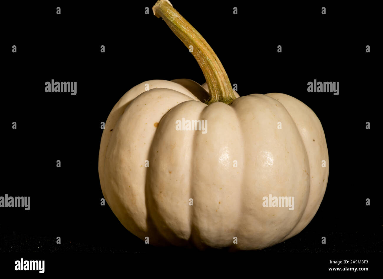 Pumpkins in all colors, shapes, and sizes Stock Photo - Alamy