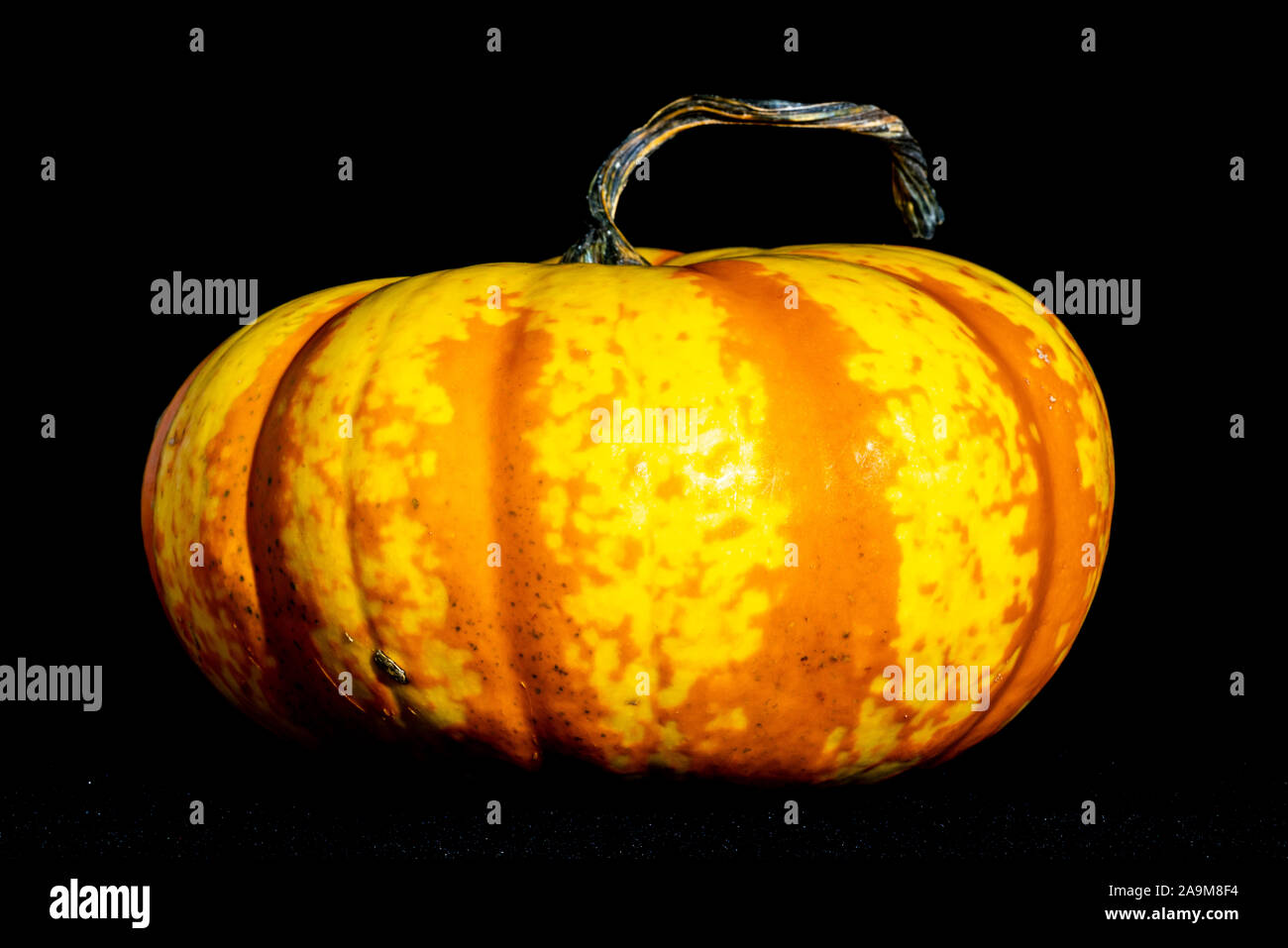Pumpkins in all colors, shapes, and sizes Stock Photo - Alamy