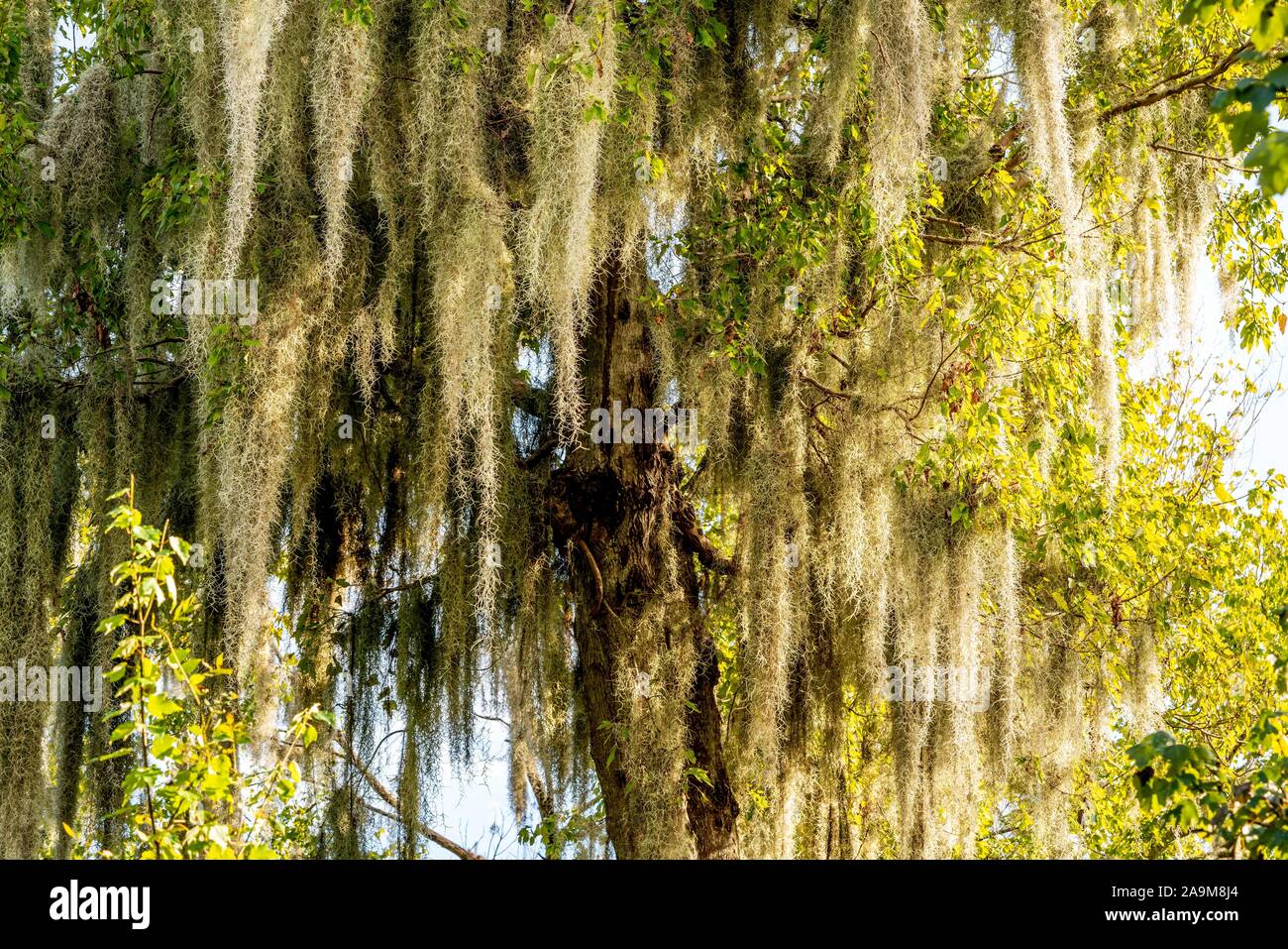 Much of the natural and man-made beauty you will see as you walk the ...