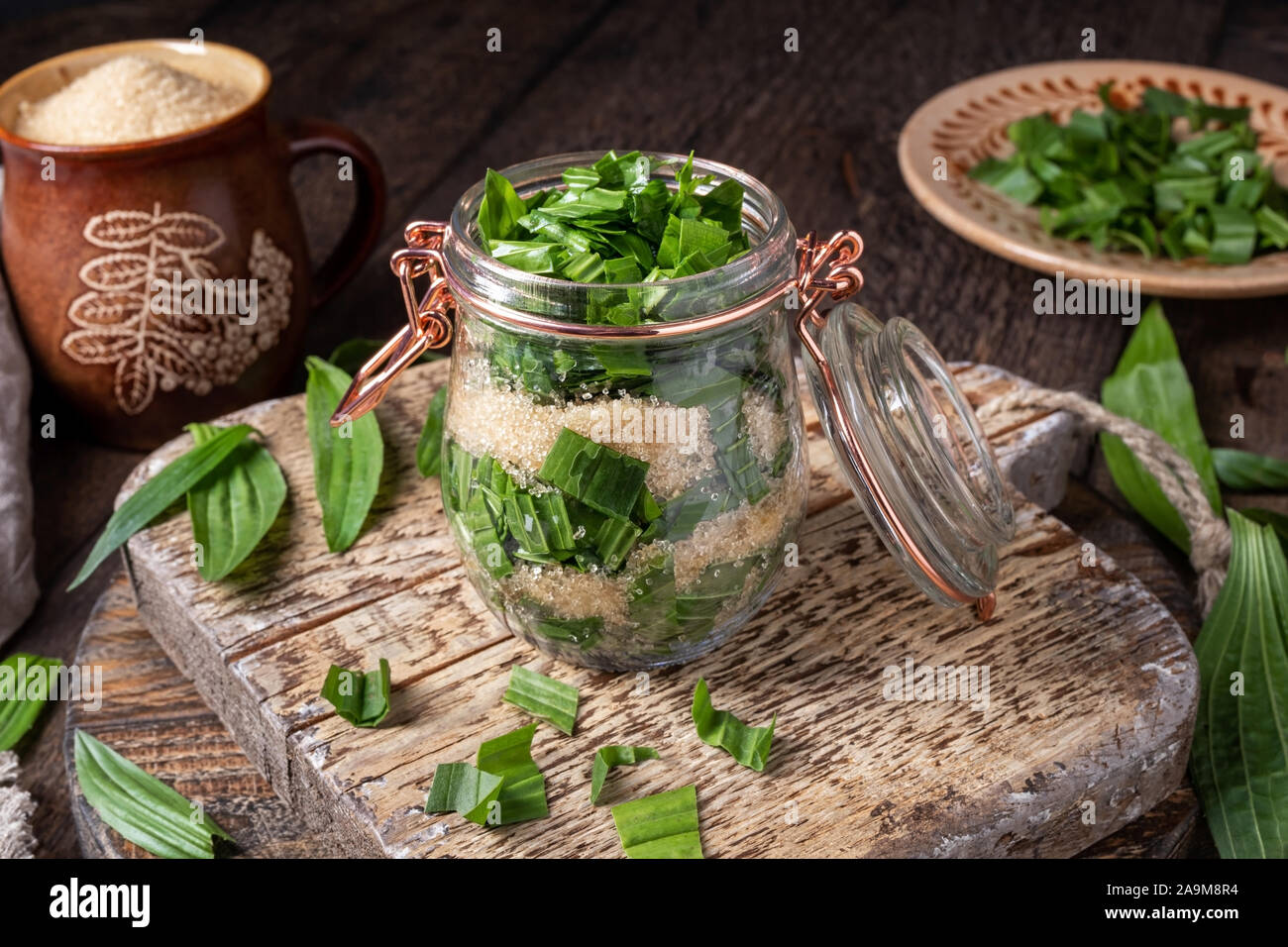 Preparation of ribwort plantain syrup against cough from fresh leaves ...