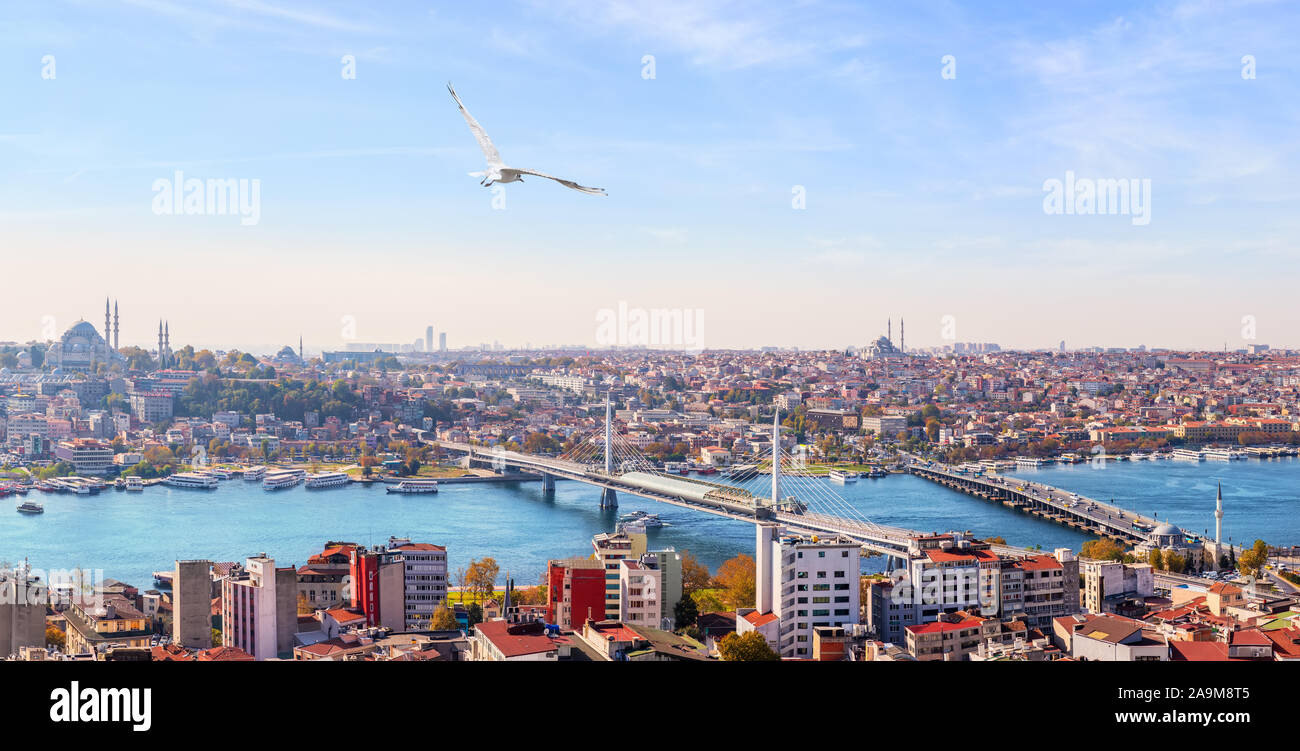 Golden Horn and the bridges of Istanbul, beautiful panorama Stock Photo ...