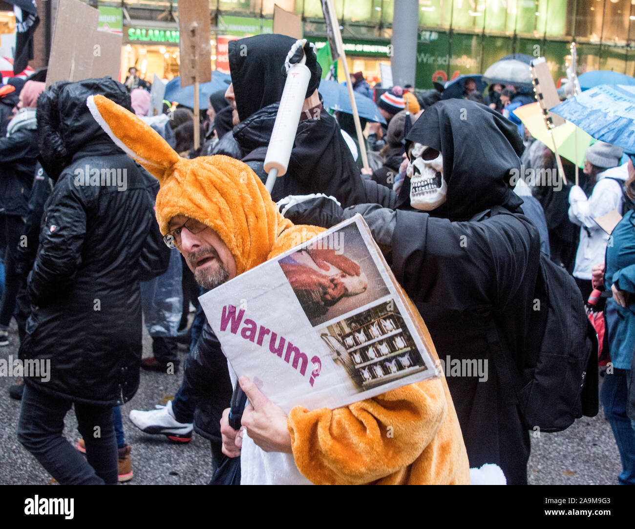 Animal testing rabbit hi-res stock photography and images - Alamy