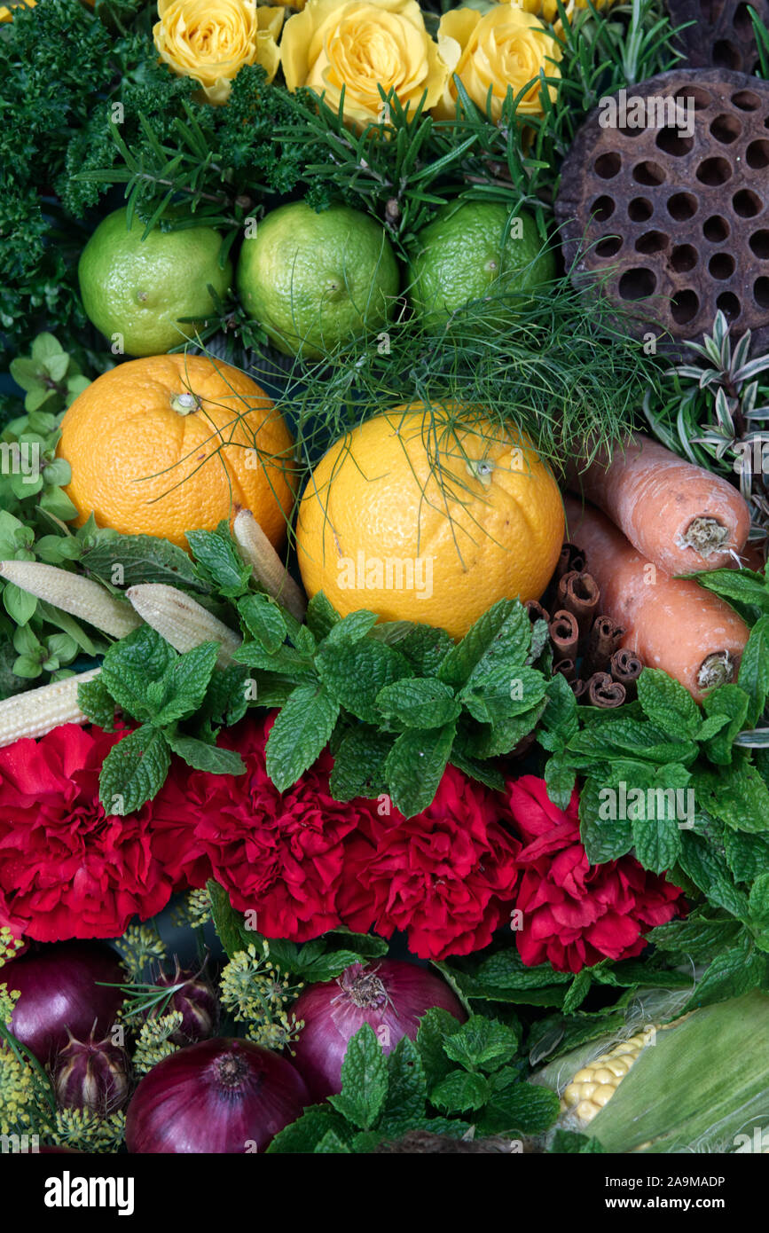 Plants pollinators hi-res stock photography and images - Alamy