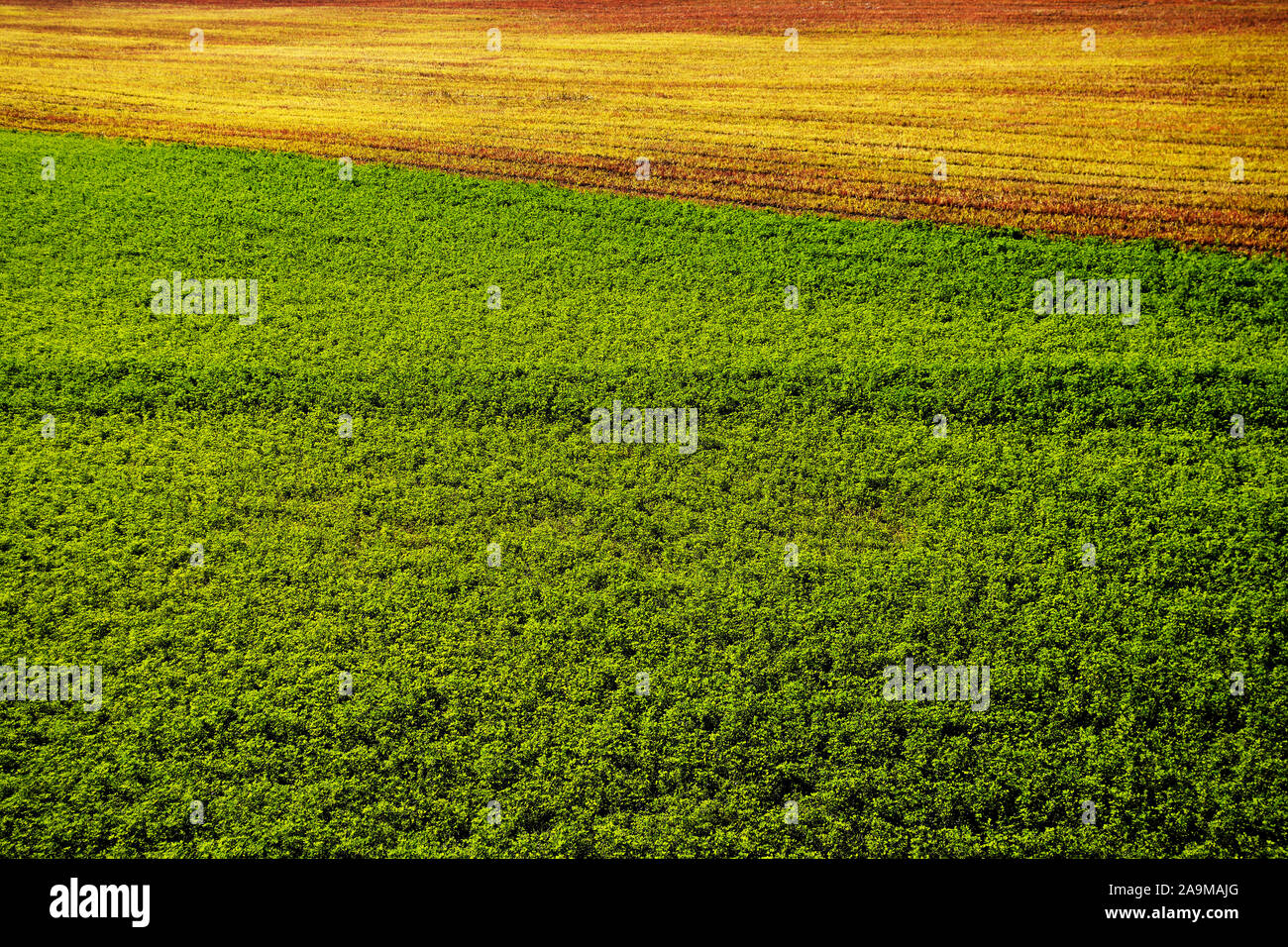 Abstract painting earth hi-res stock photography and images - Alamy