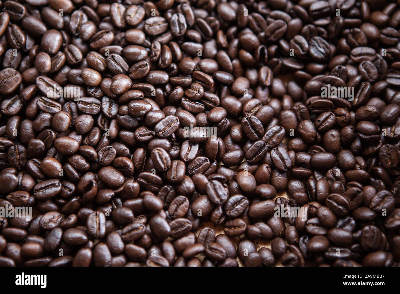 Kopi Luwak Coffee Stock Photo - Alamy
