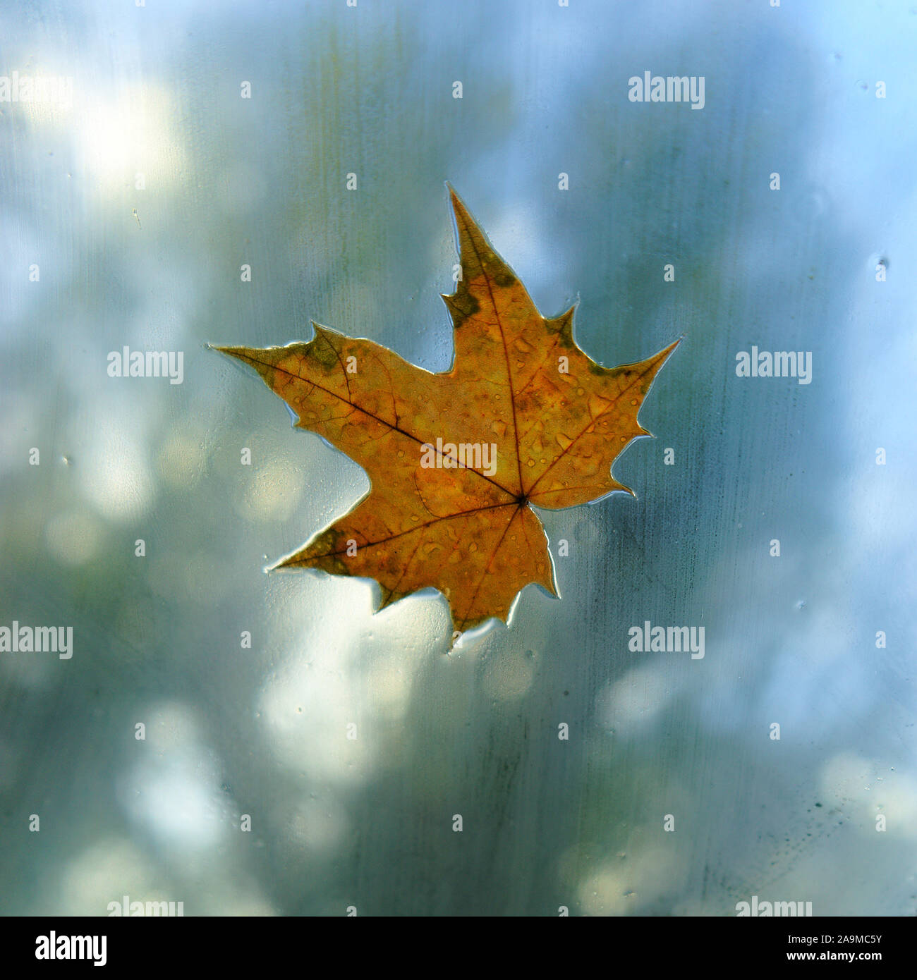 Stuck background hi-res stock photography and images - Alamy