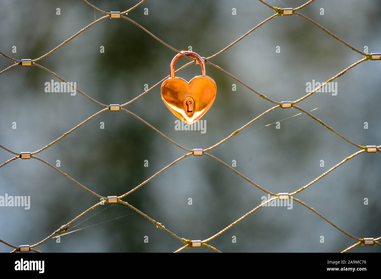 golden padlock shaped like a heart Stock Photo - Alamy