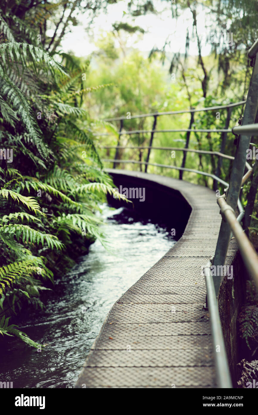 Footpath bridge along a stream Stock Photo - Alamy