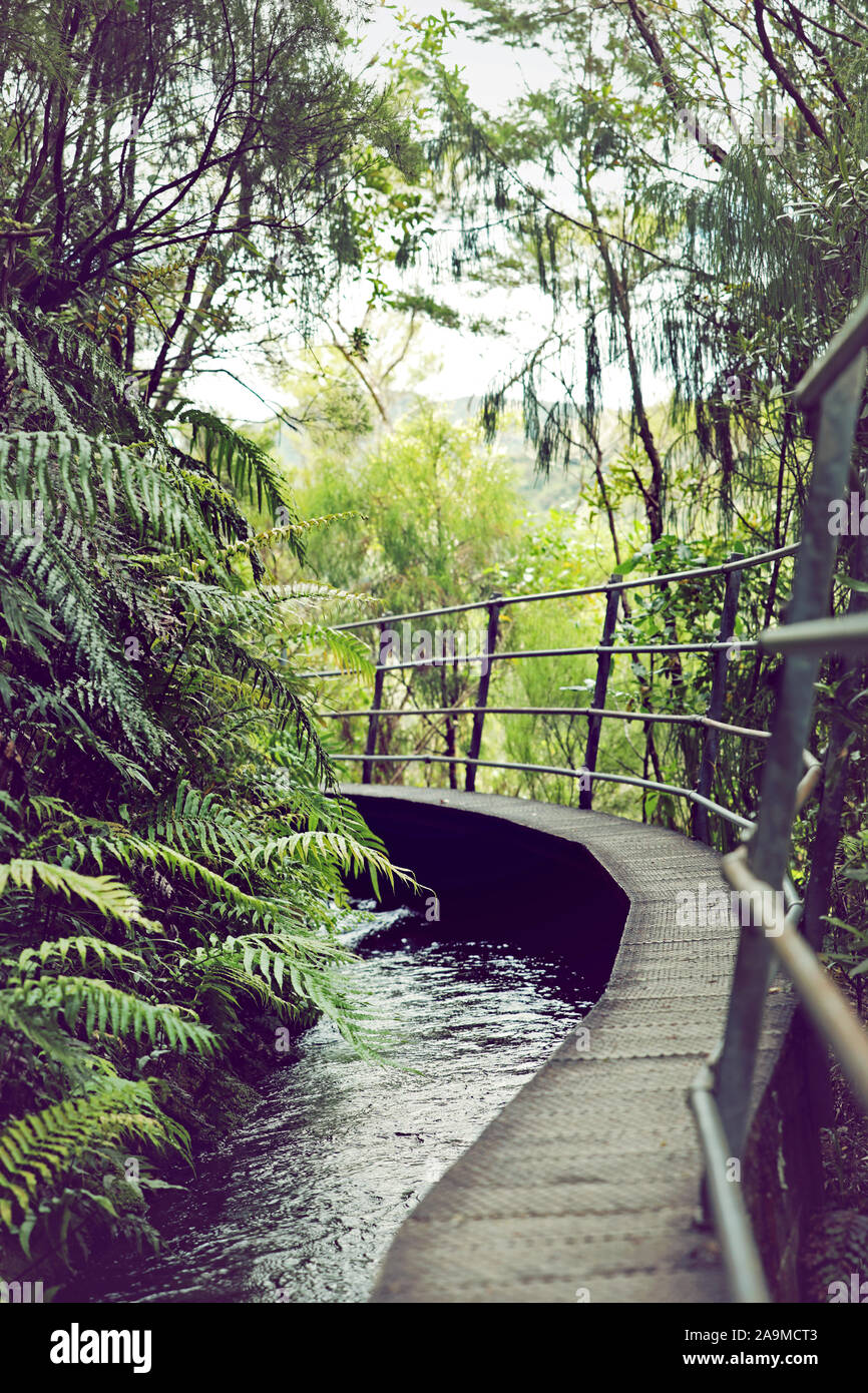Footpath bridge along a stream Stock Photo - Alamy