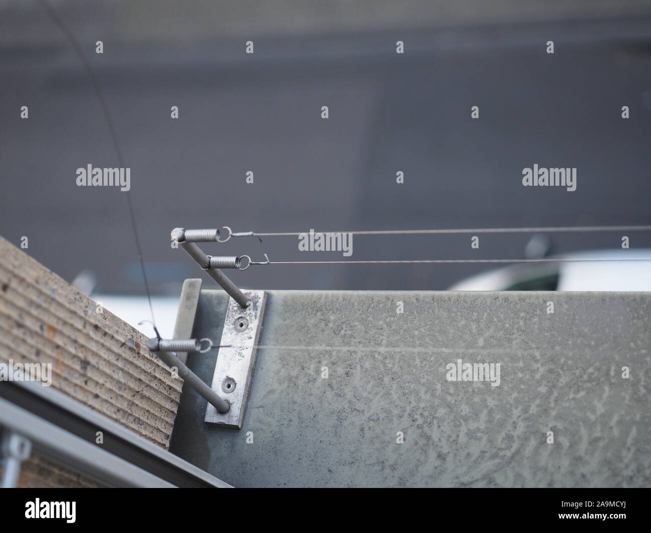 Pigeons windowsill hi-res stock photography and images - Alamy