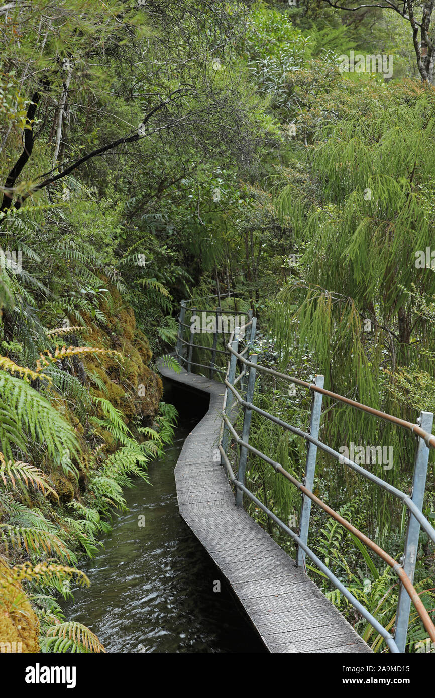 Footpath bridge along a stream Stock Photo - Alamy