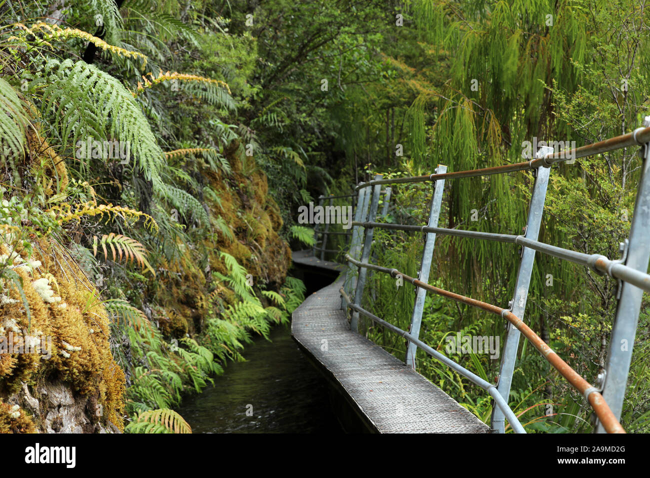 Footpath bridge along a stream Stock Photo - Alamy
