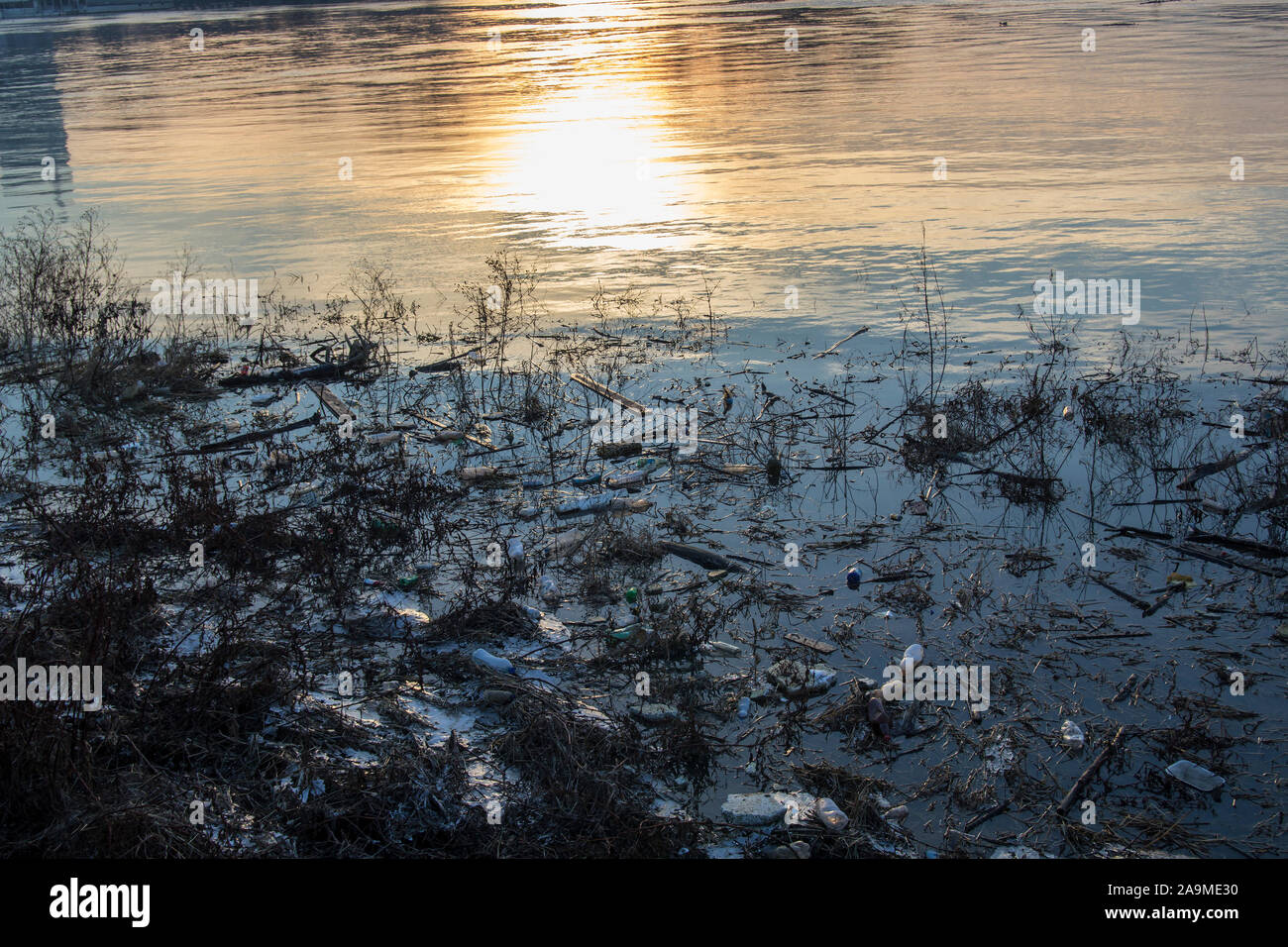 Garbage floating in a water in winter sunset Stock Photo - Alamy